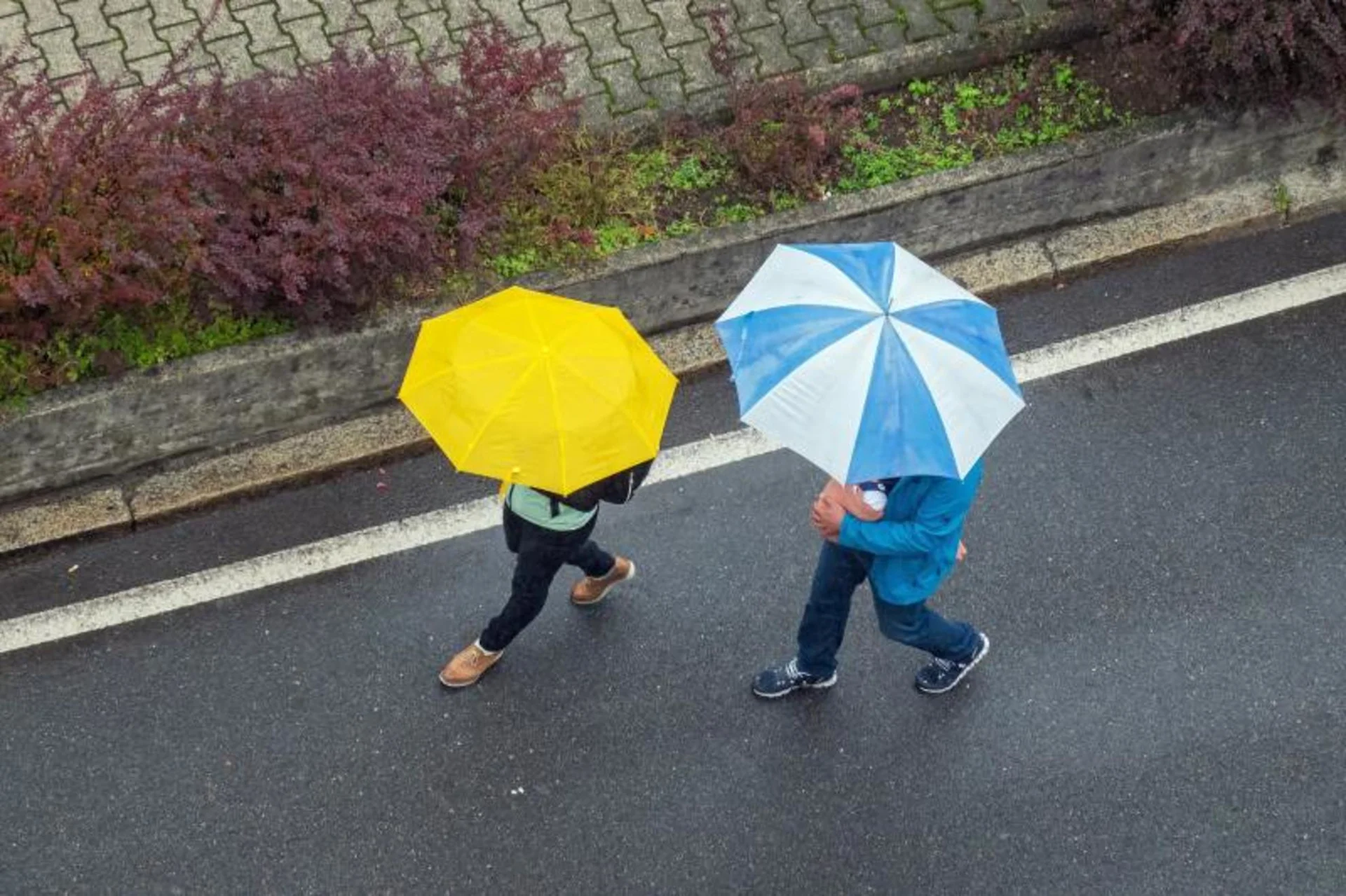 What POP really means in a weather forecast - The Weather Network