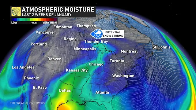 Sick of winter? Look on the bright side: we’re halfway to spring! - The ...