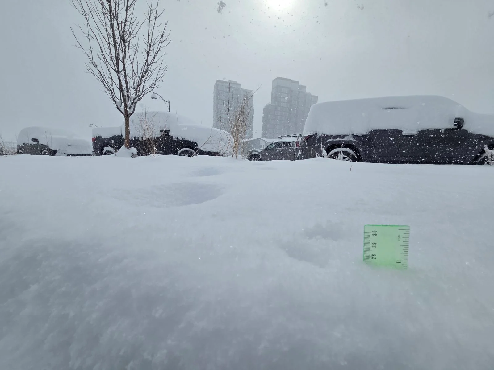 Dangerous travel on the Prairies as significant snowfall unfolds - The ...