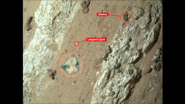 Potential signs of ancient life found in Mars rock sampled by ...