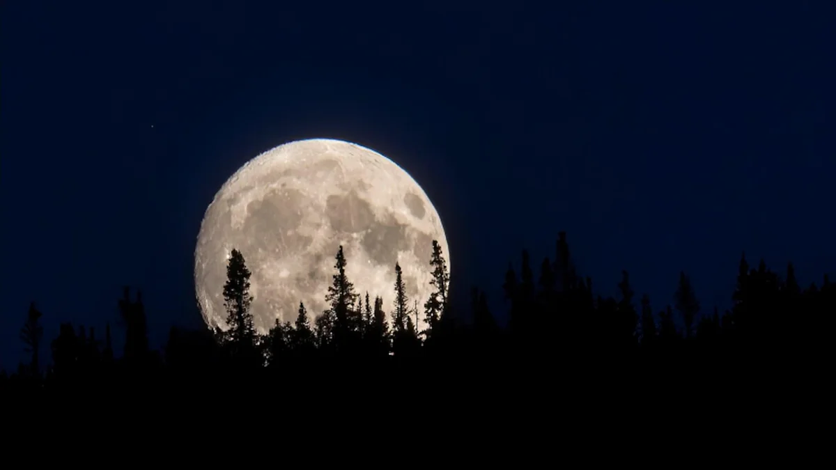 First Full Moon of Summer 2025 shines this week - The Weather Network