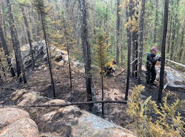 Warm, dry winter has increased the wildfire risk in Alberta - The ...