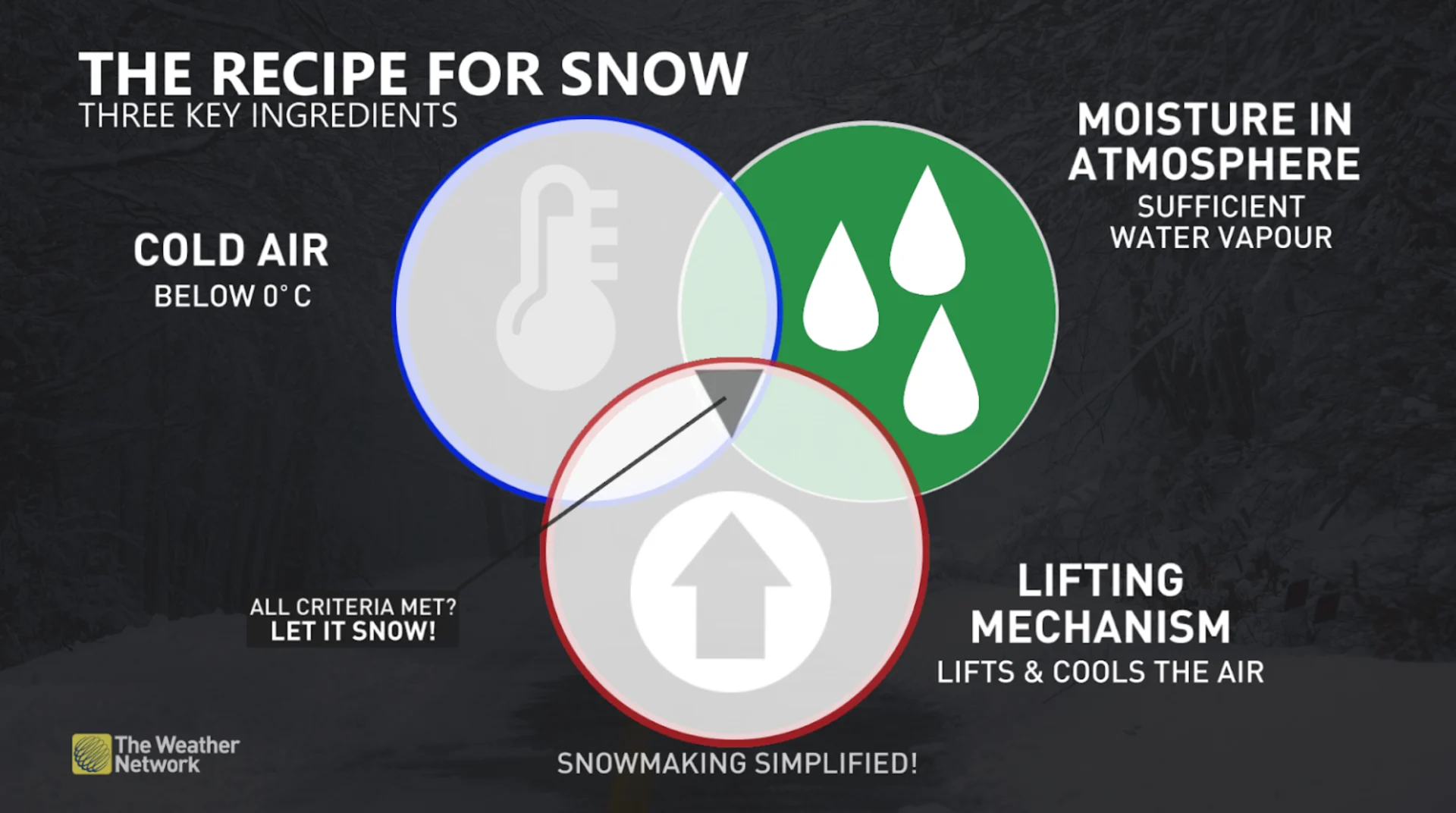 Debunking the myth: Can it ever be too cold to snow? - The Weather Network