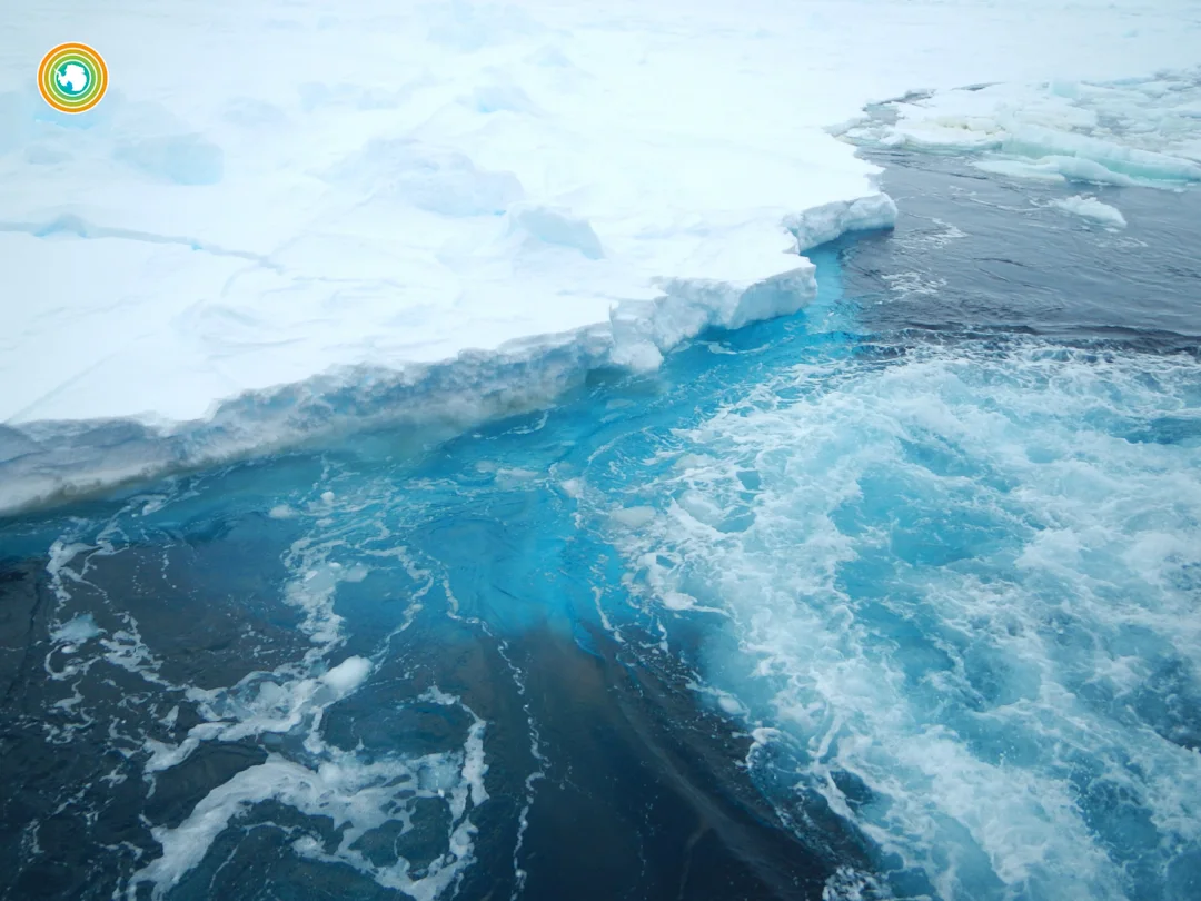 One of the strongest ocean currents is speeding up, concerning ...