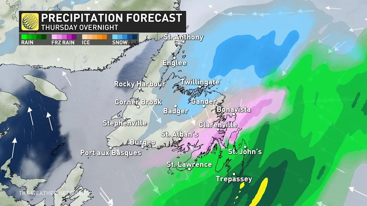Freezing rain warnings as two wintry systems hit Newfoundland - The ...