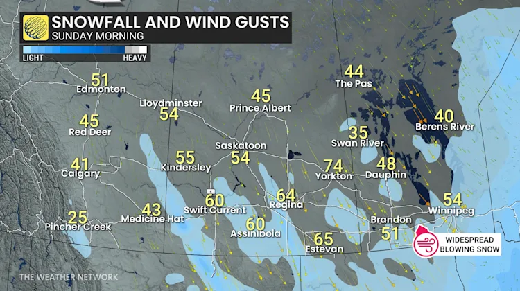 Blizzard, wind warnings, and blowing snow advisories in place - The ...