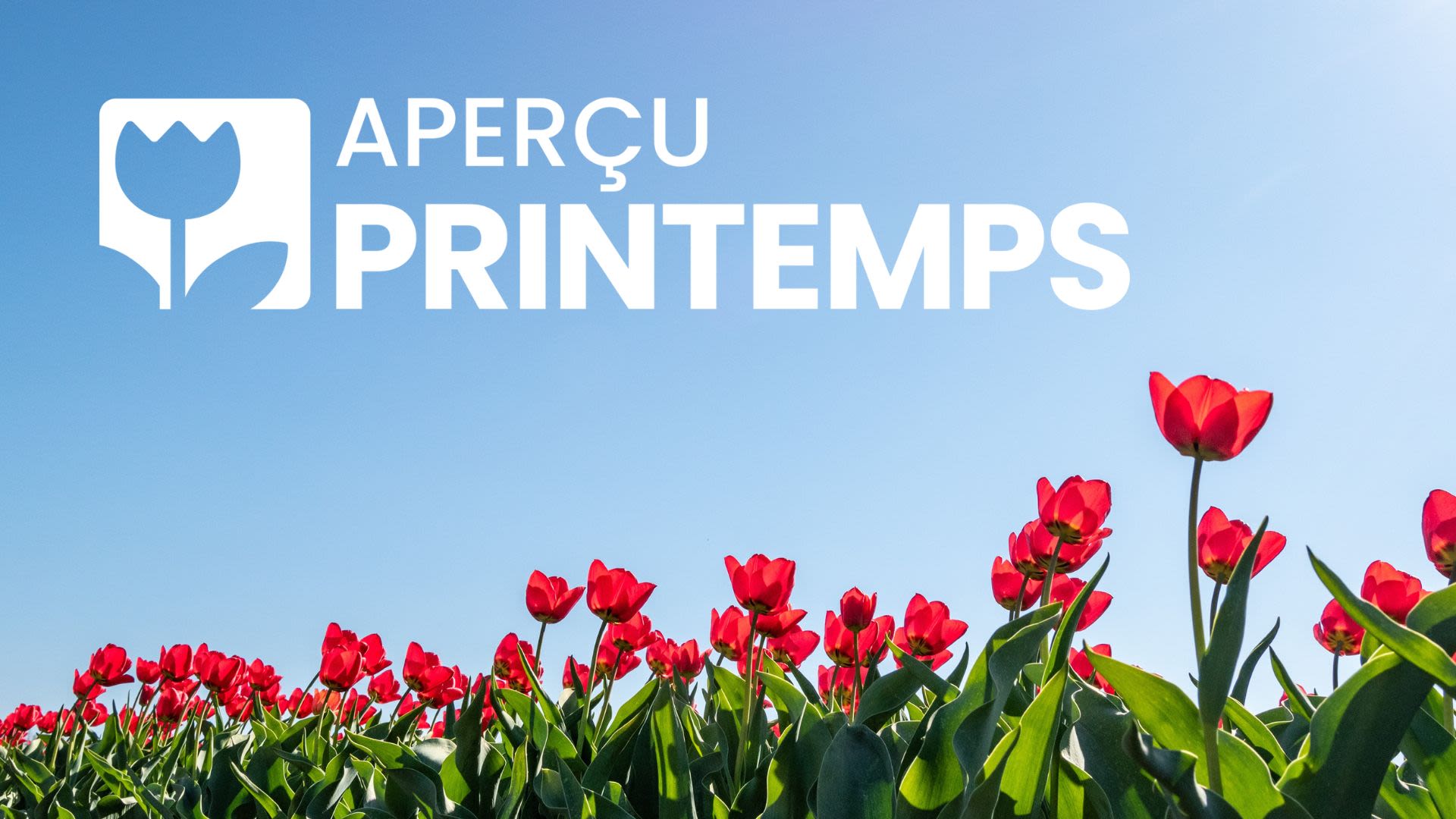Un Printemps En Moins