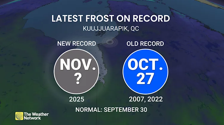 Why Montreal's lack of frost this season is noteworthy - The Weather ...