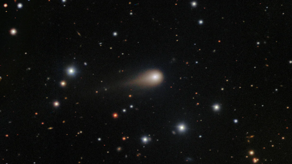 A meteor storm and an alien comet could be the 'stars' in the sky this ...