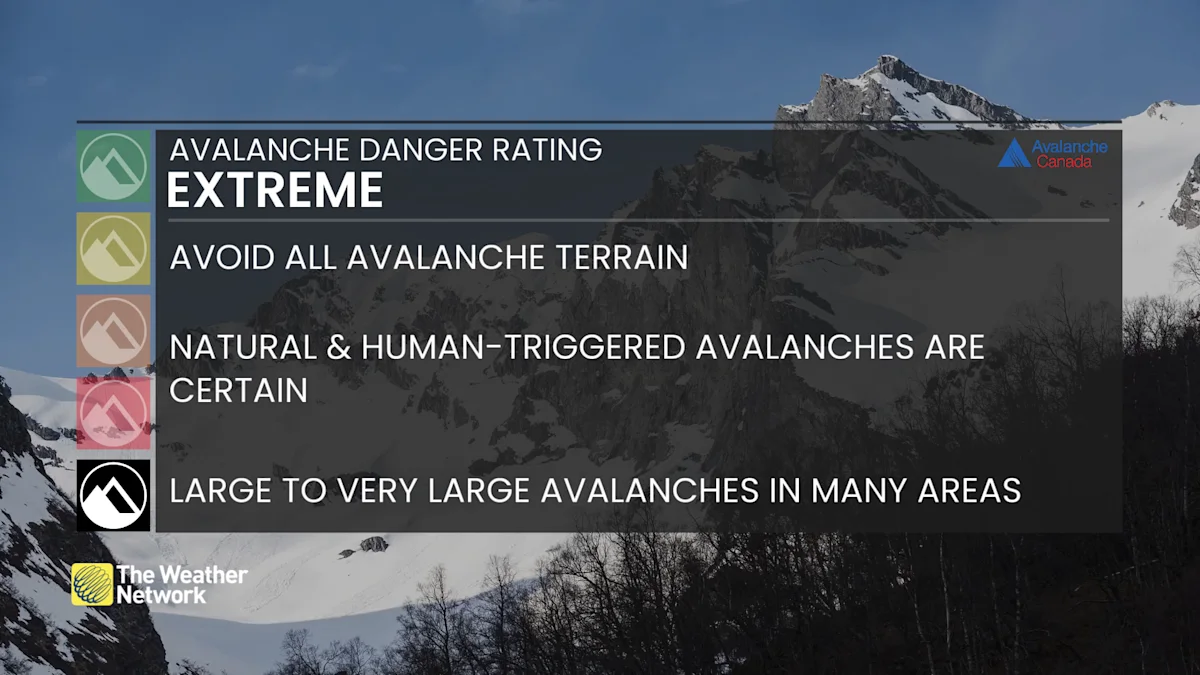 Avalanche Canada offers detailed history with goal of reducing future ...