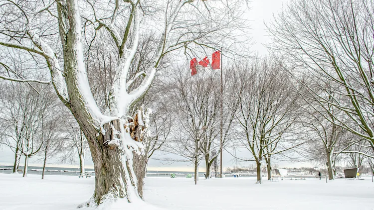 Where’s the snow in Toronto this season, and are we behind? - The ...