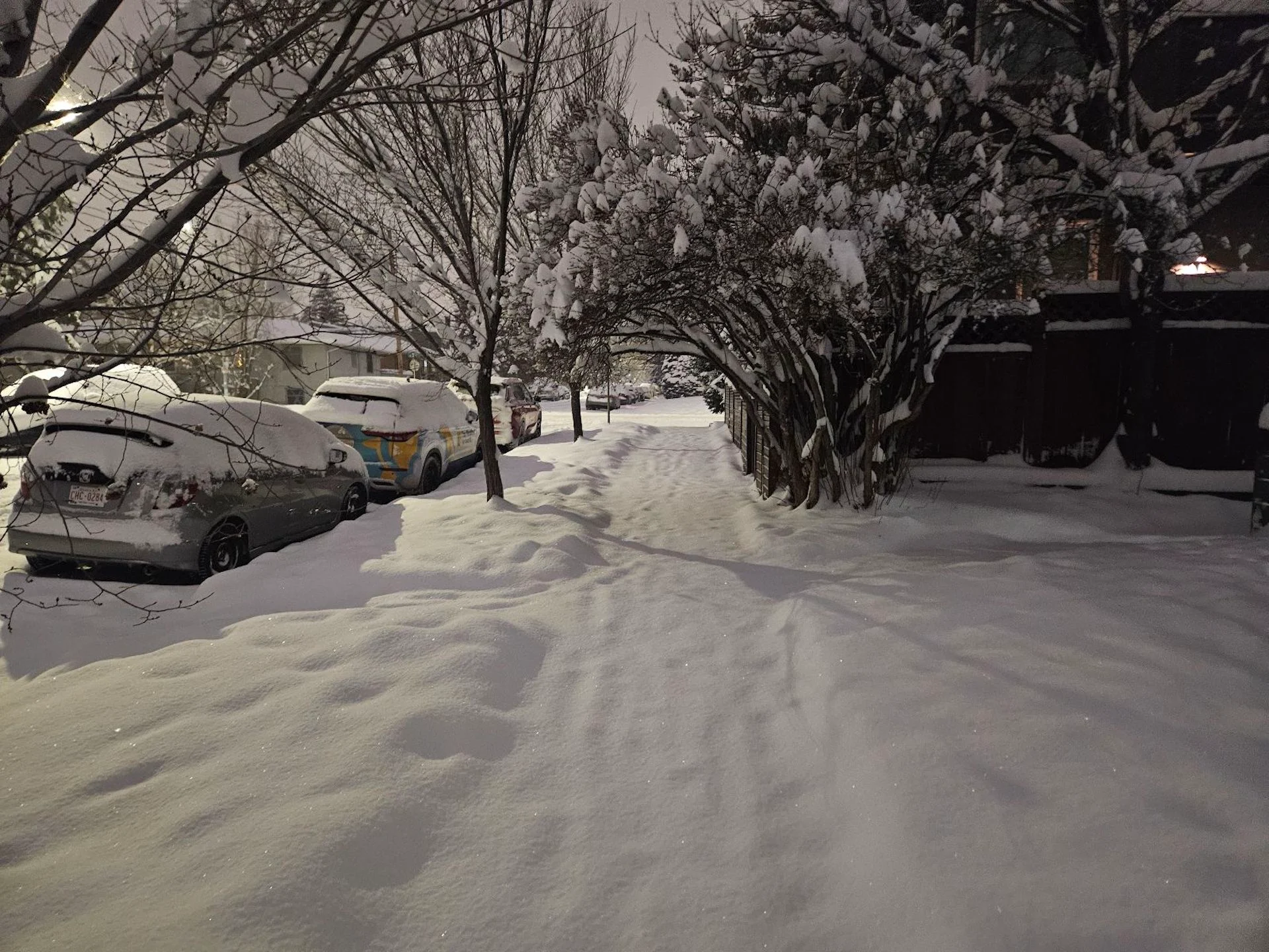 Blizzard warnings issued in Manitoba as high winds, snow arrive - The ...