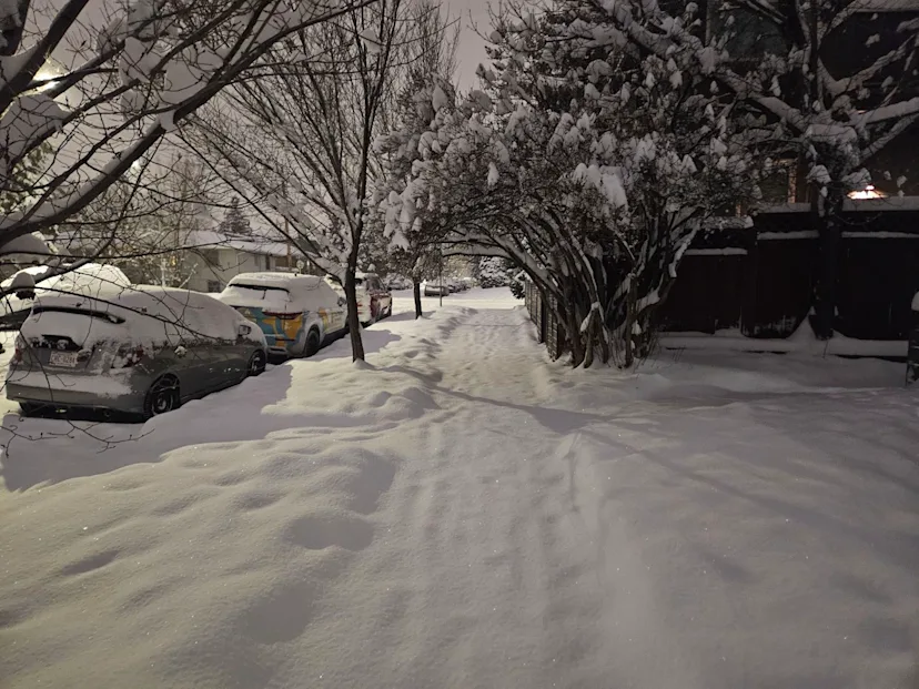 Calgary's no-show snowstorms this winter. When will one finally arrive ...
