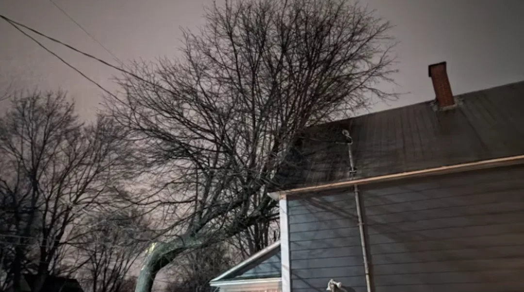 Prepare for prolonged outages, says N.B. Power, as storm cleanup begins ...