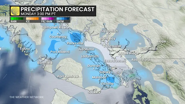 More heavy snow hits southern B.C. with risk of dangerous travel ...