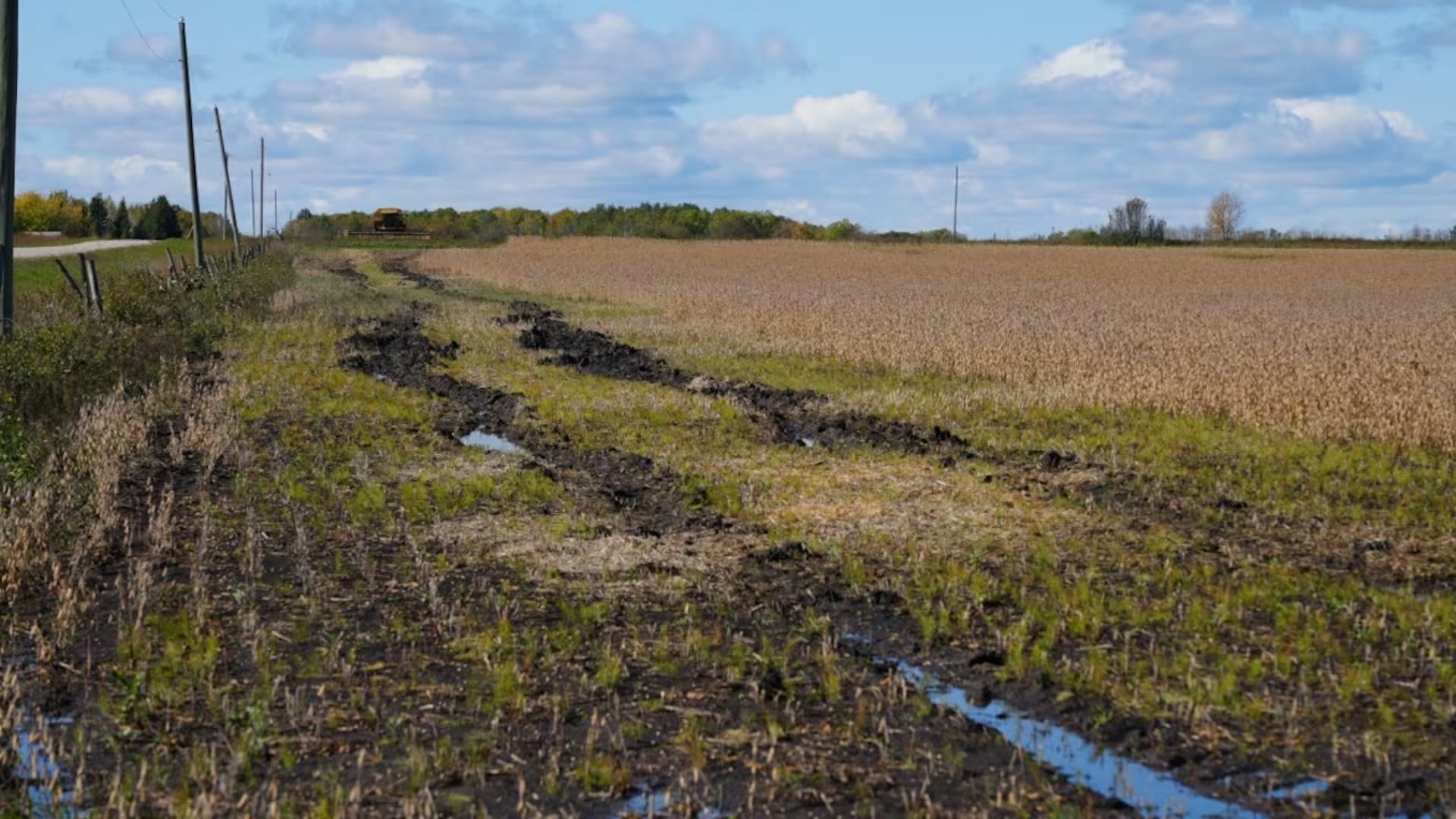 Manitoba farmers hope frost will firm up fields after rain, hail pummel ...