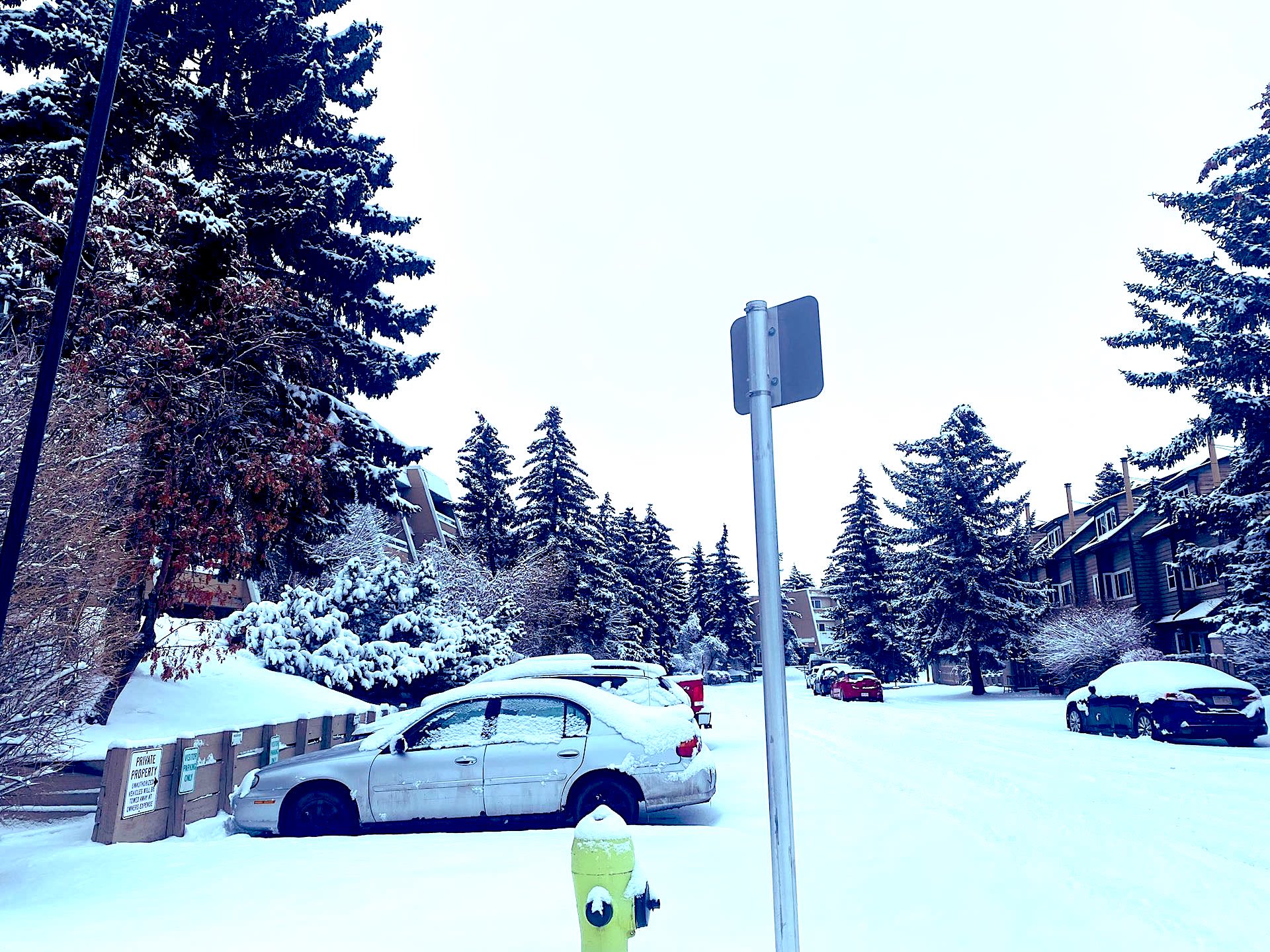 Overachieving squalls give Calgary its snowiest January day on record ...