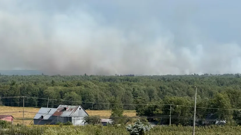 Halifax-area crews are making progress on forest fire near Bayers Lake ...
