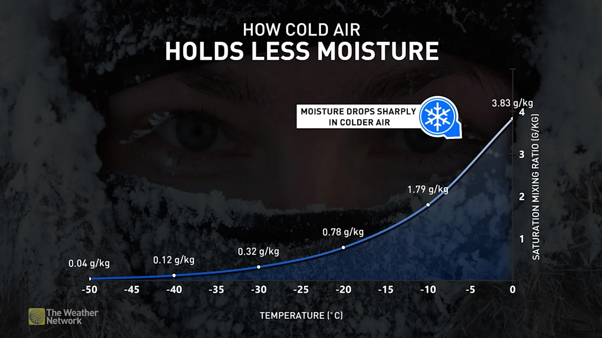 Debunking the myth: Can it ever be too cold to snow? - The Weather Network