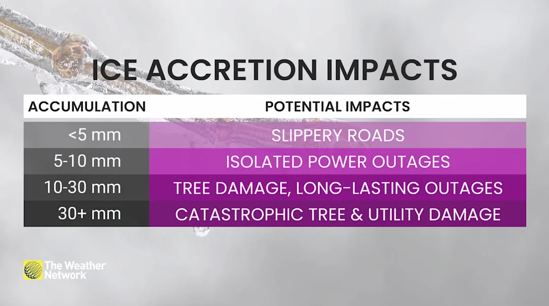 Impactful, messy winter storm targets East Coast - The Weather Network
