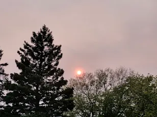 Greater Napanee, ON Current Weather - The Weather Network