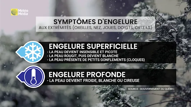Froid extrême : un week-end qui pourrait être lourd de conséquences ...