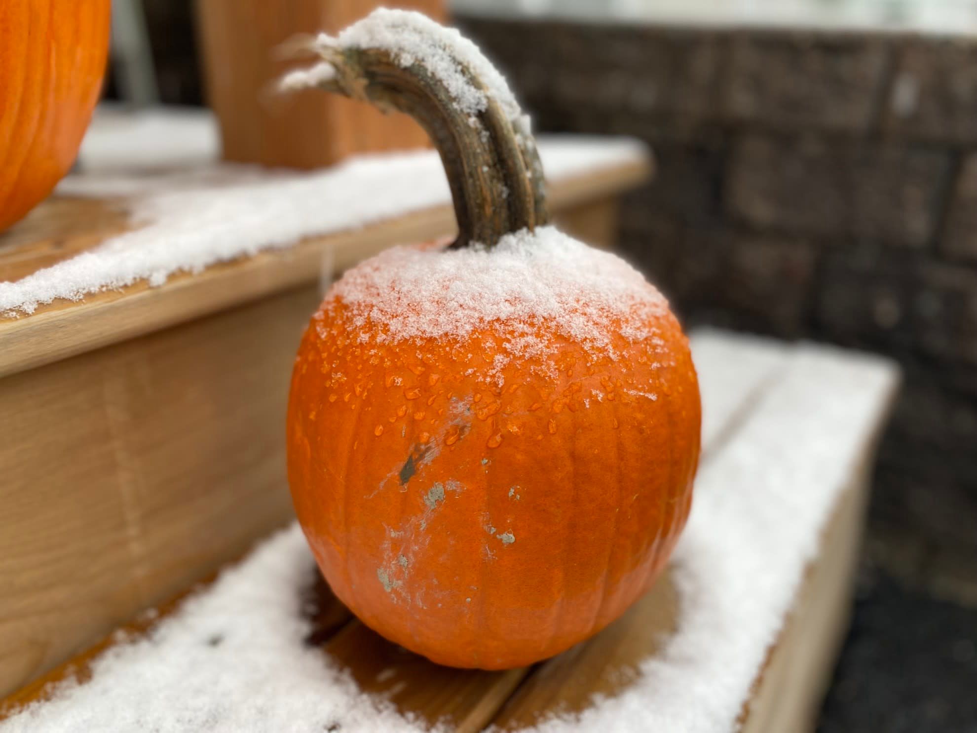Snow chances grow as temperatures tumble across parts of the Maritimes ...