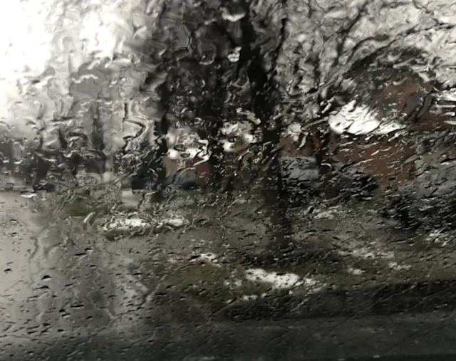 Alerts - Oakville, ON - The Weather Network