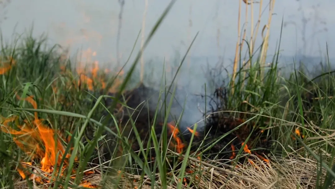 Cigarettes - one of the most common culprits for fire starts in Alberta ...