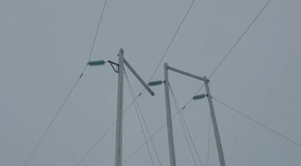 More than 10,000 households without power after vicious windstorm hits ...