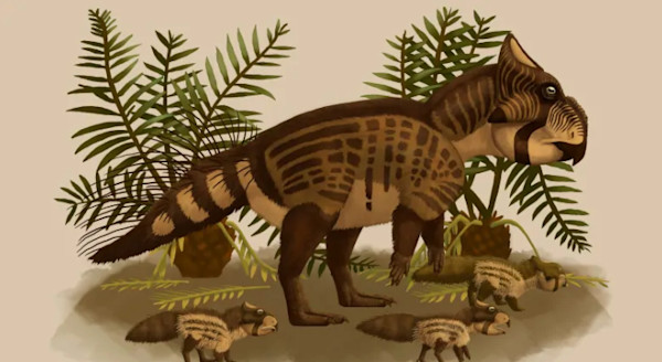 Mysterious claw identified as part of 1st dinosaur species unique to BC ...