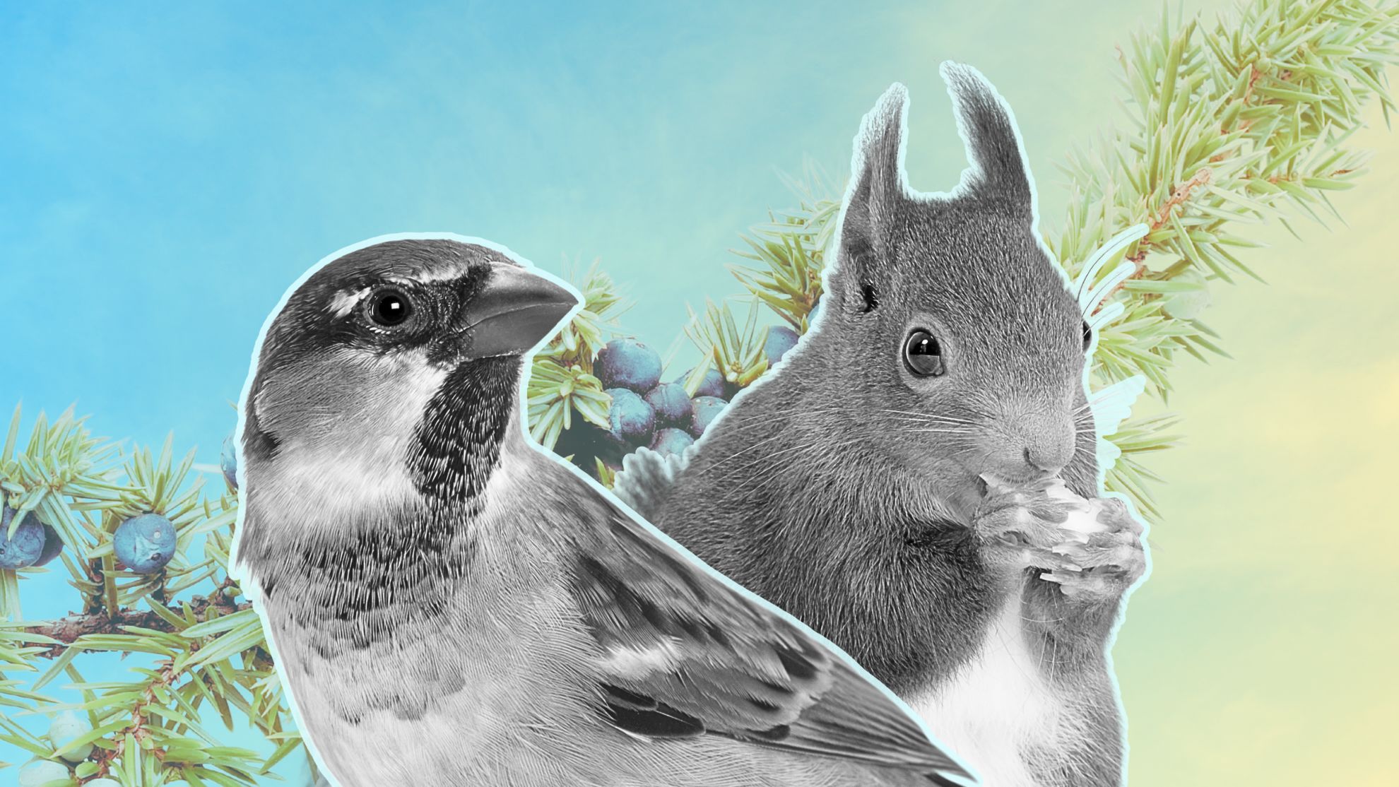 Nature's spring break: Why some birds may be flying sideways this time ...