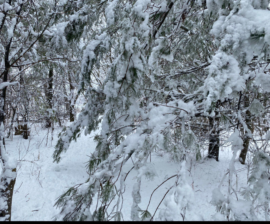 Heavy snow piling up in Quebec as storm continues into Saturday - The ...