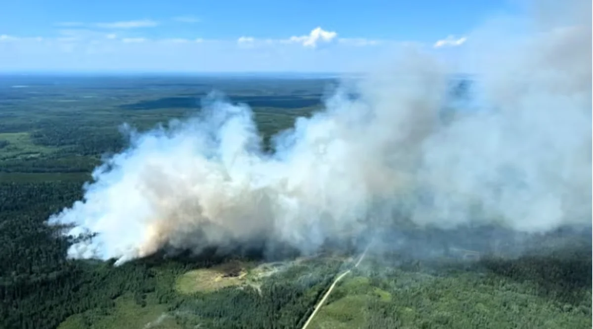Alberta issues fire ban for entire forest protection area with hot ...