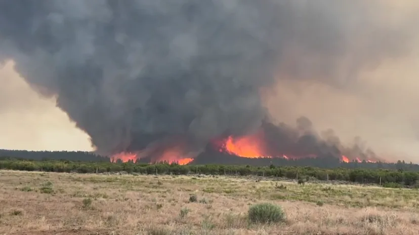 Wildfire Spawned An Intense Fire Induced Tornado Experts Confirm The