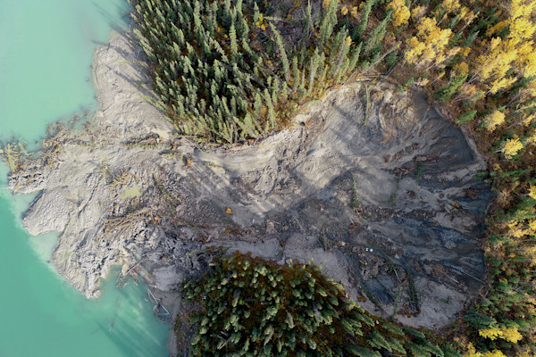 Melting permafrost splitting trees, threatening highways in Yukon - The ...
