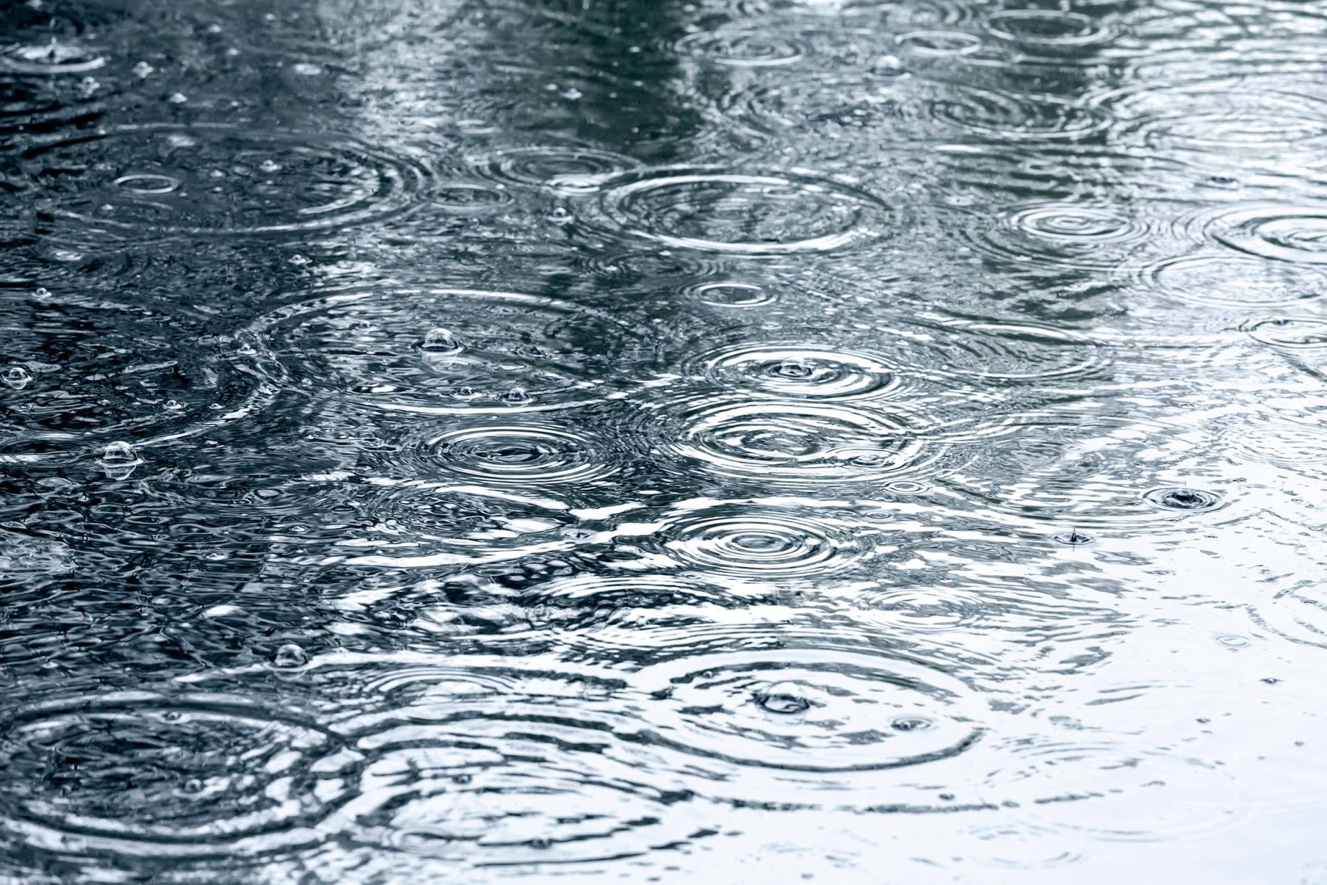 Tomorrow's Weather Vancouver: Rain Showers, Cool Temps Near 11°C - The ...