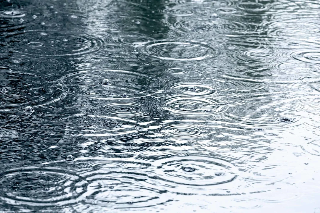 Tomorrow's Weather Winnipeg (Dec 16): Windy with Mixed Precipitation ...