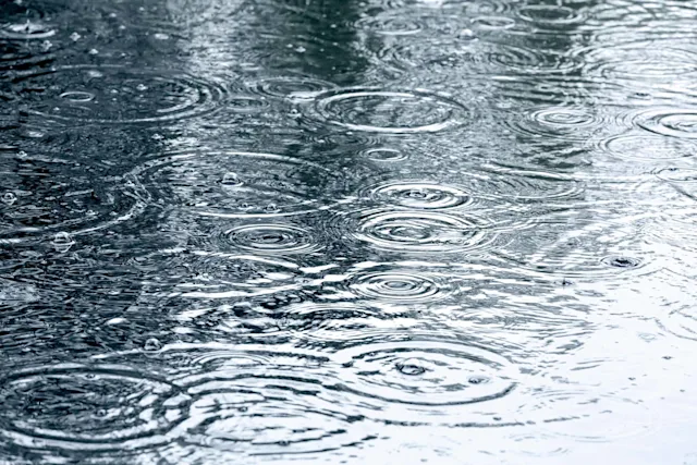 Tomorrow's Weather Vancouver (Jan 04): Rain Showers, Cool Temps Near 8 ...