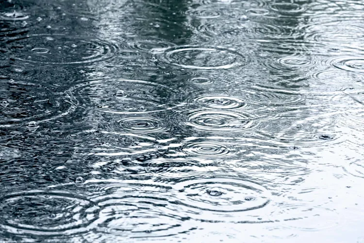 Tomorrow's Weather Vancouver (Jan 04): Rain Showers, Cool Temps Near 8 ...