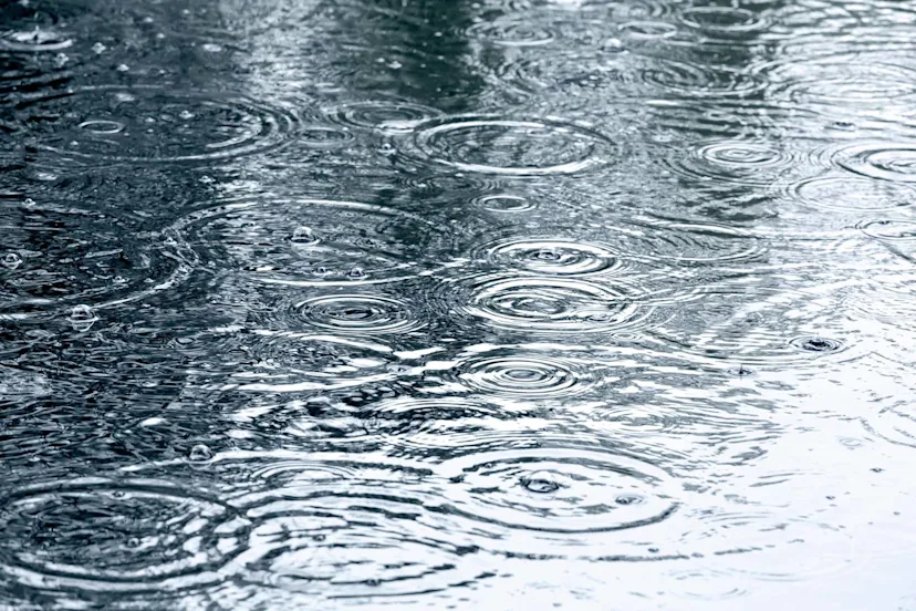 Brantford's weather forecast for November 24: Cloudy with sunny breaks ...