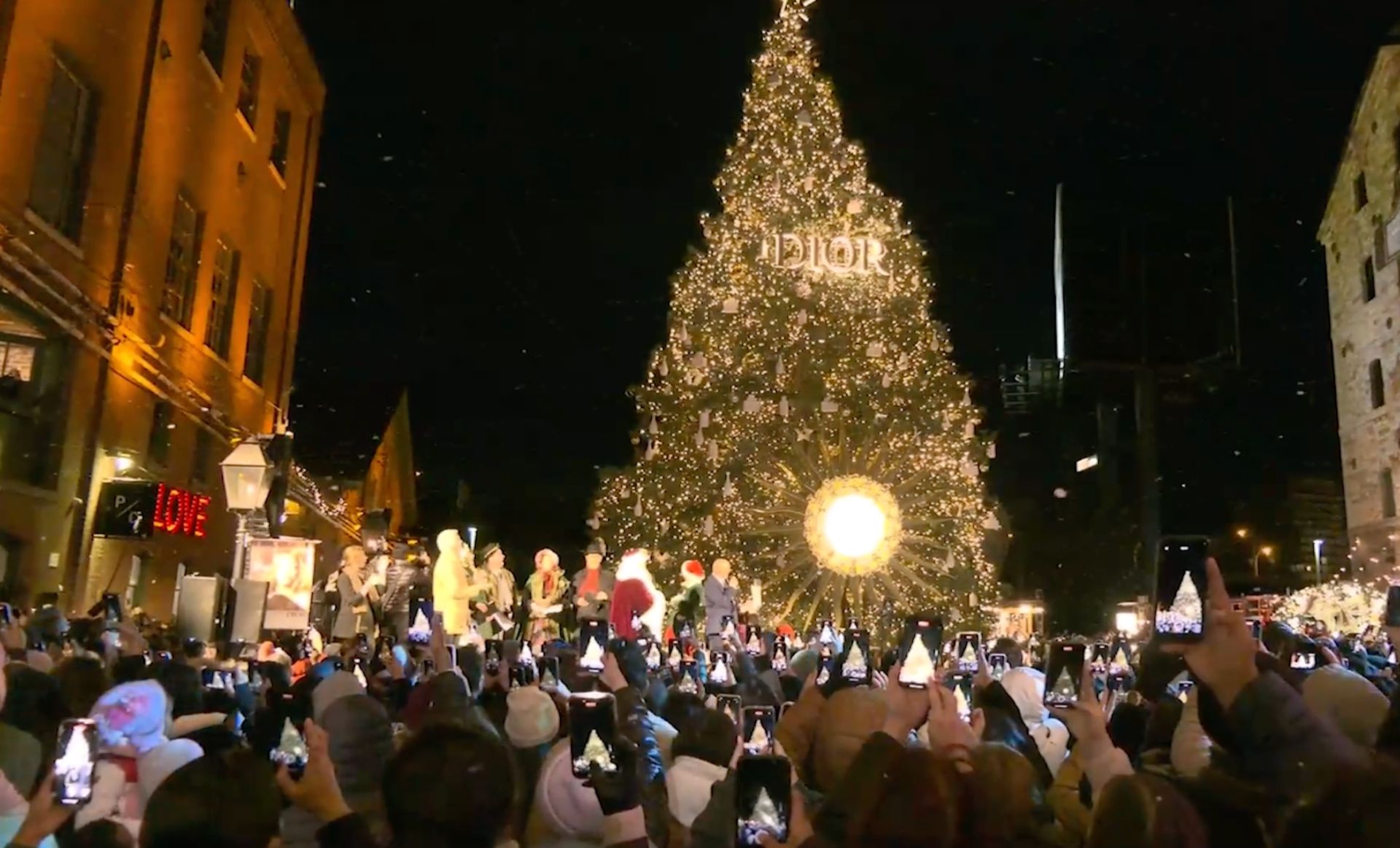 Fate of Toronto's spectacular Christmas tree: What happens after the ...