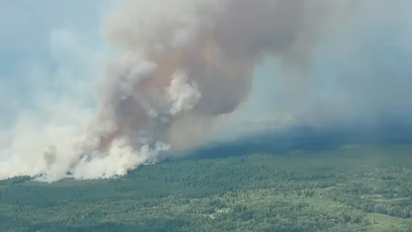 Miramichi wildfire burns into 6th day, nearly tripling in size over 24 ...