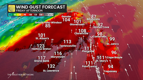Heavy rain, high winds as storm hits Atlantic Canada - The Weather Network