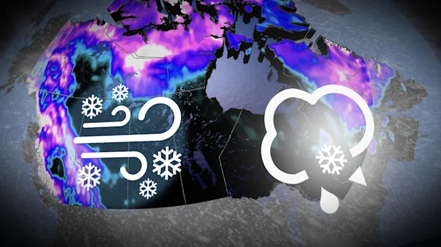 Will winter redeem its reputation? A sneak peek at winter 2024-25 - The ...
