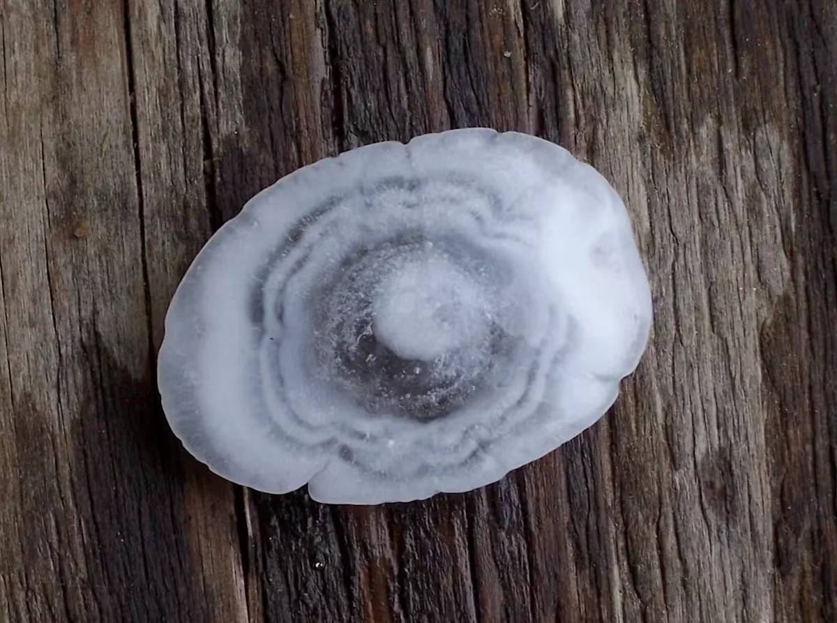 How does hail get so big? - The Weather Network