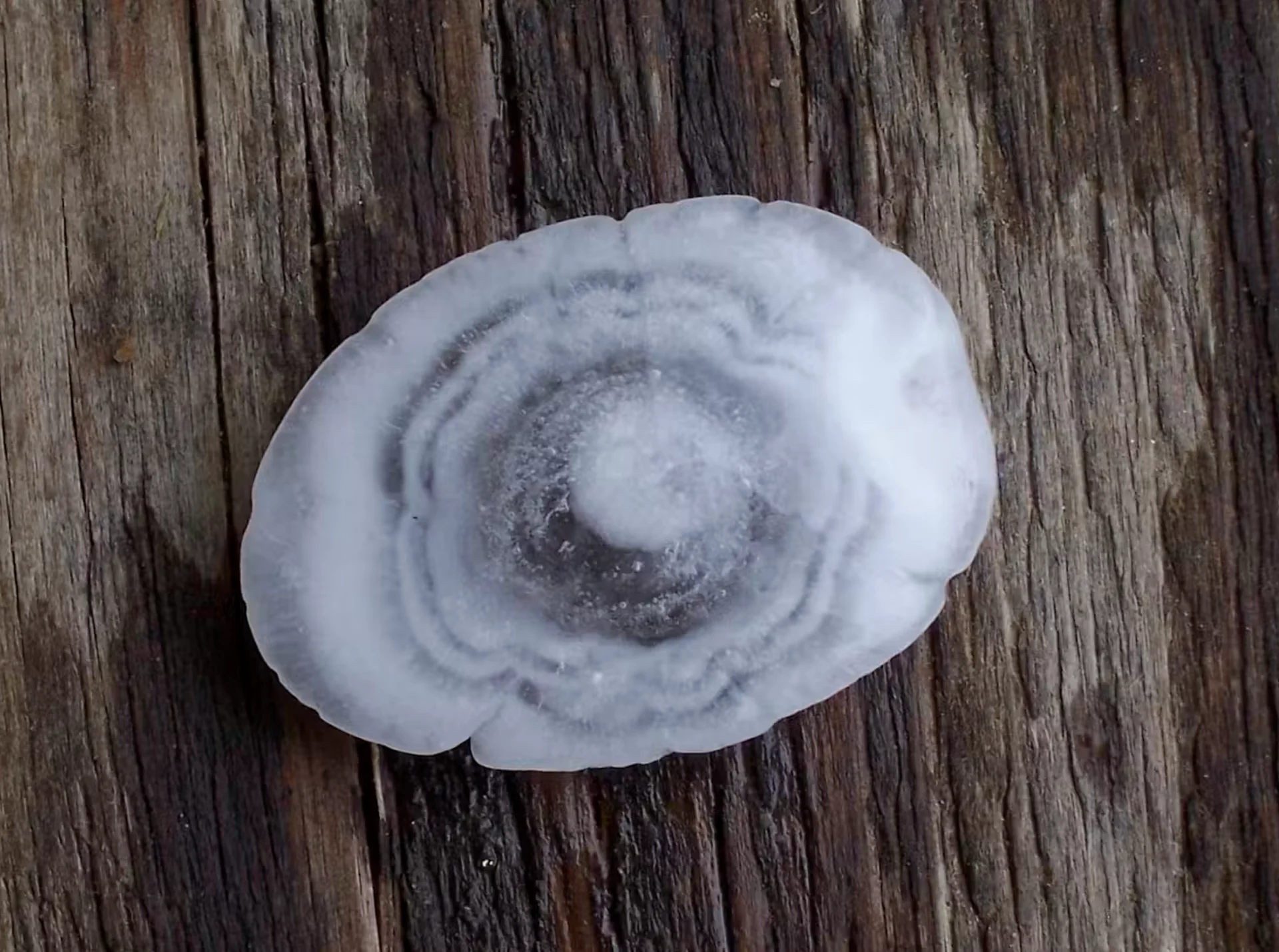 How does hail get so big? - The Weather Network