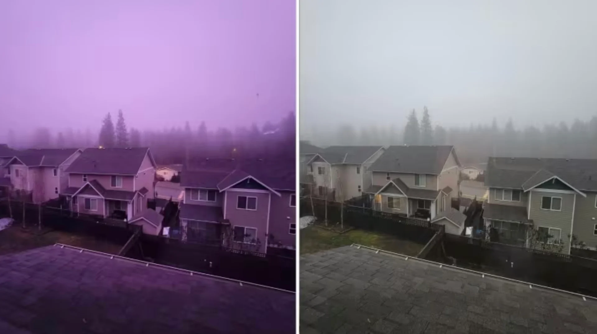 Purple haze, don't know why? Here's the science behind the colourful ...
