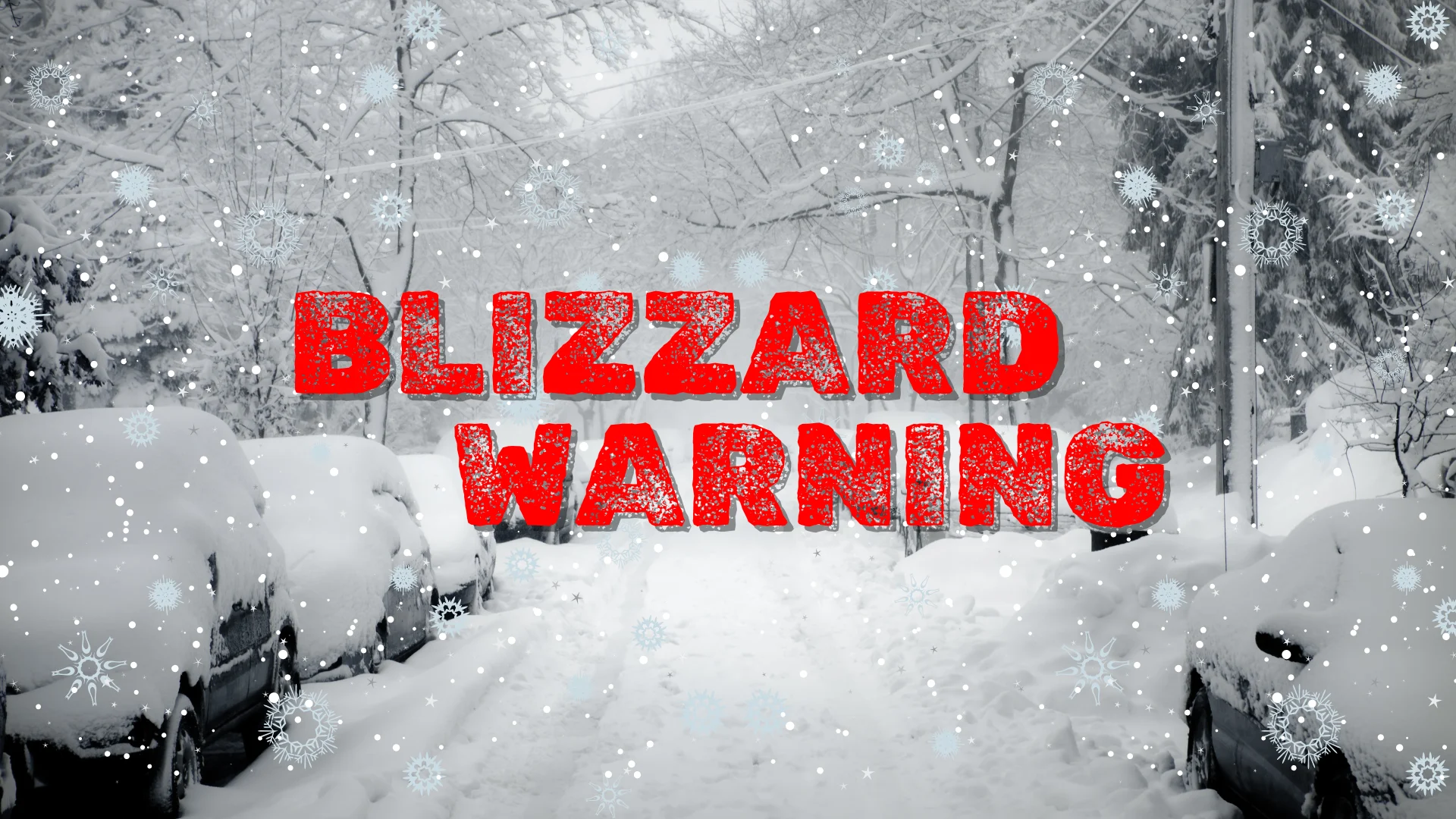 Blizzard warnings issued in Manitoba as high winds, snow arrive - The Weather Network