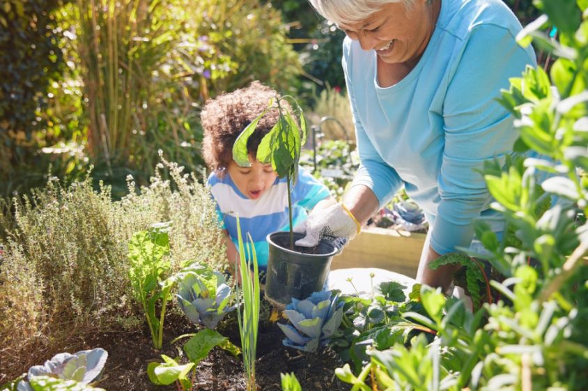 5 ways you can help restore our planet from home this Earth Day - The ...